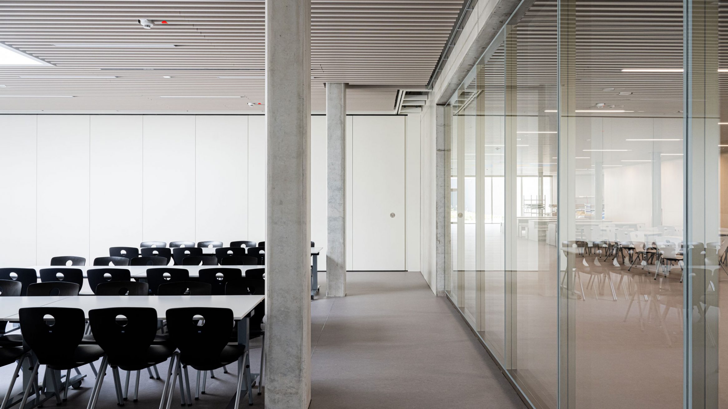 Comprehensive school Kolkwitz - sehw architektur